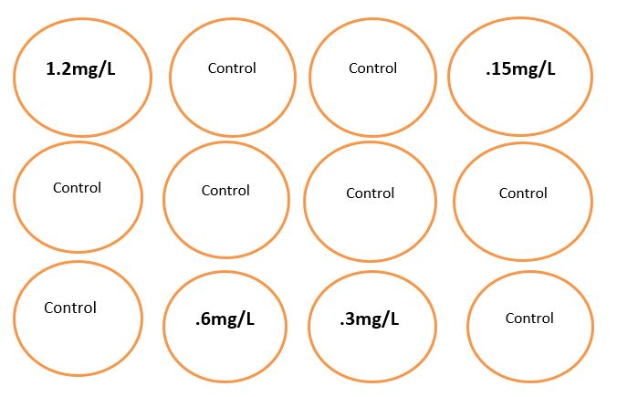 Triangle Tests: Applying Common Sensory Panel Practices for the ...
